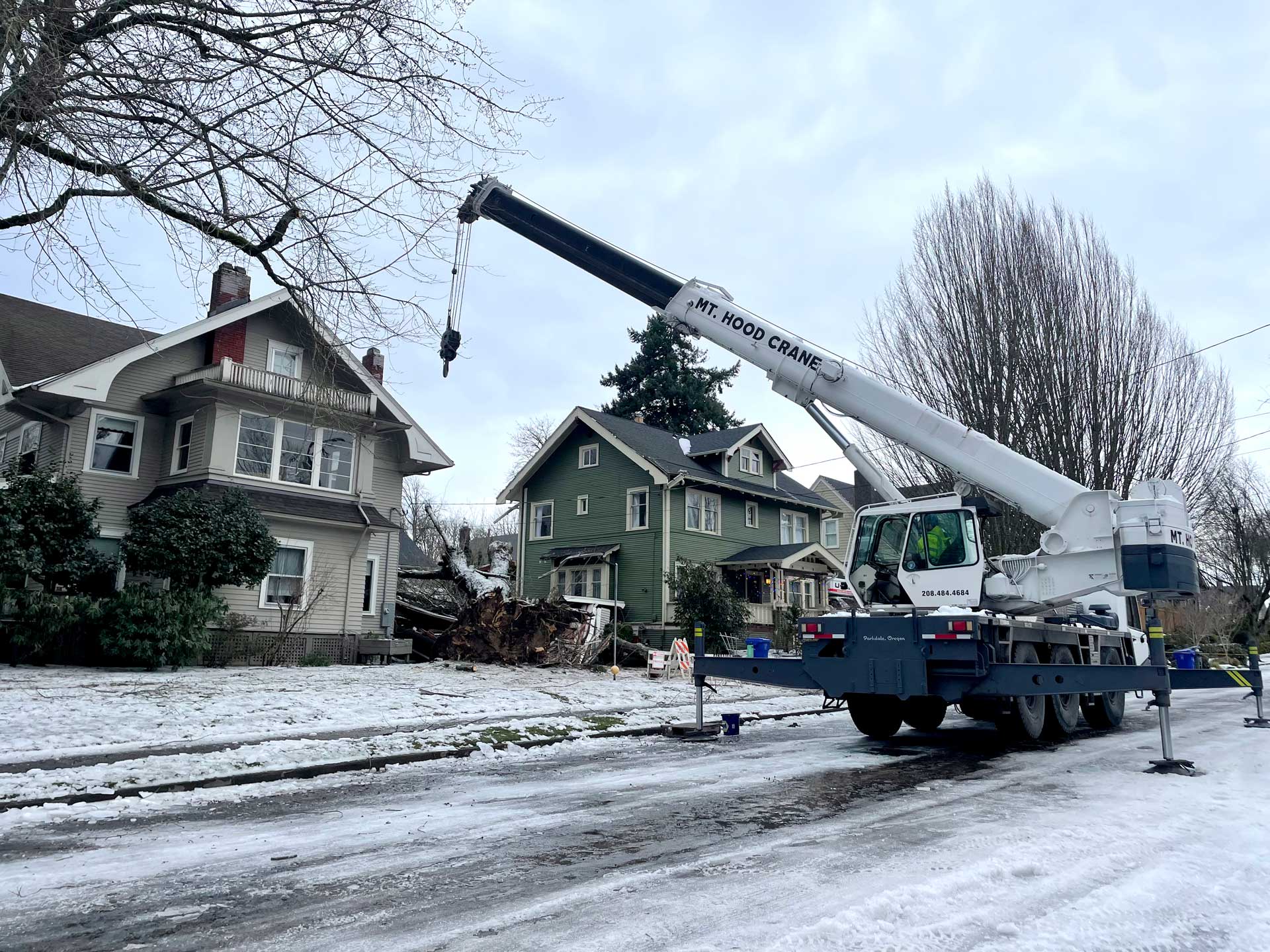 Crane Work - A Life With Trees