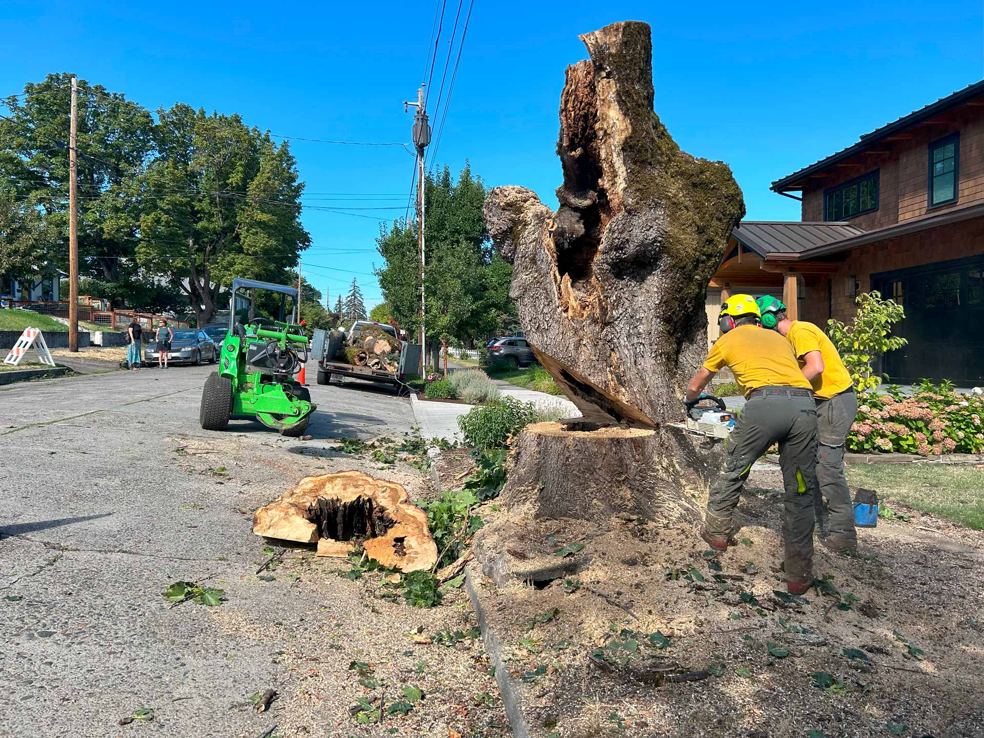 Stump Grinding - A Life With Trees